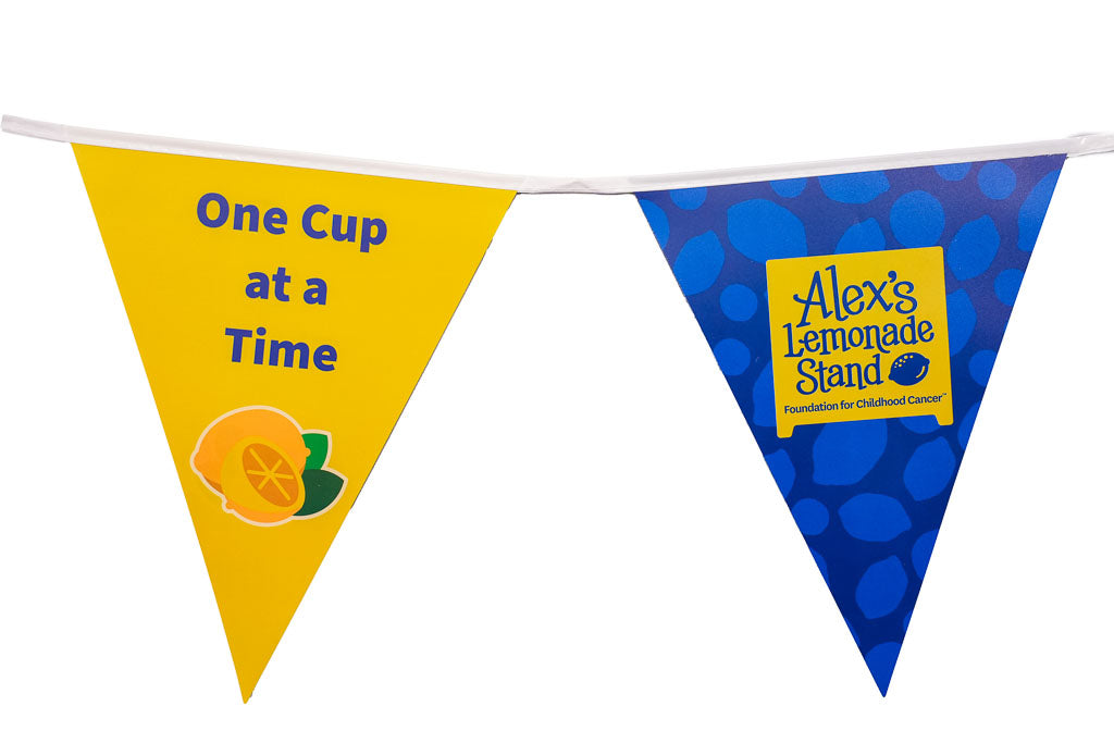 Lemonade Stand Pennant Flag Decoration – Alex's Lemonade Stand ...